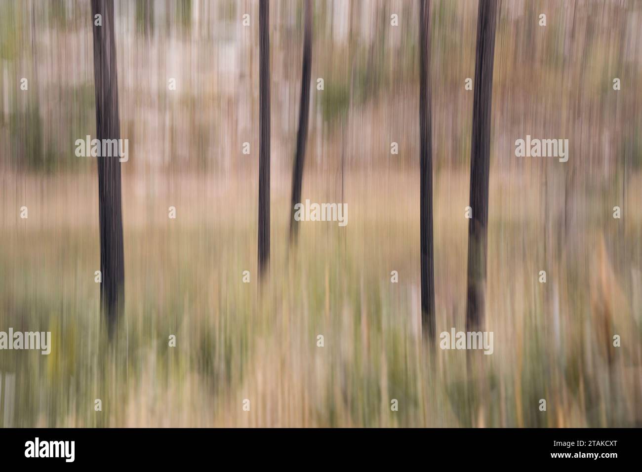 Camera movement blurred fresh green hi-res stock photography and images ...