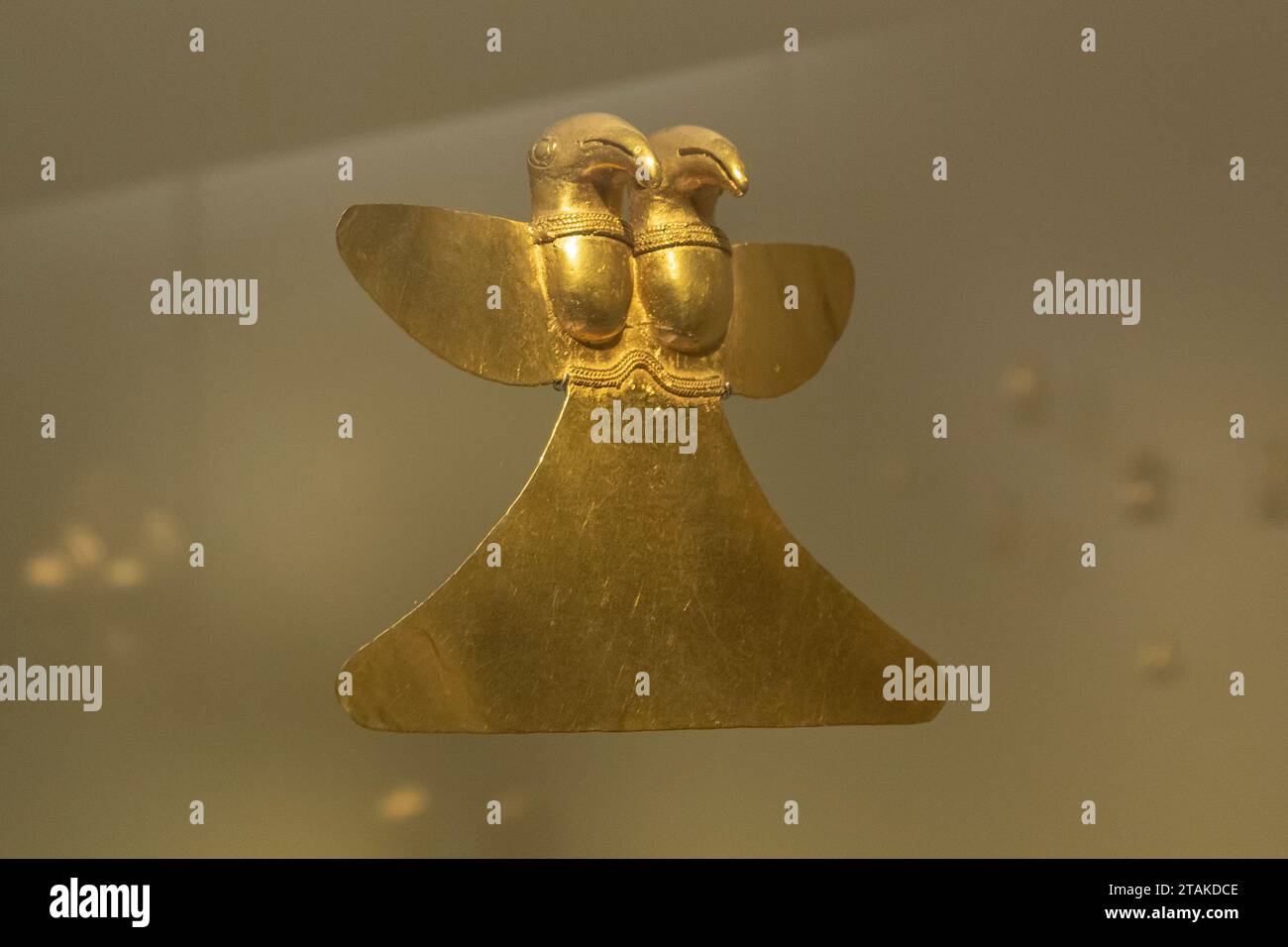 Ancient indigenous golden double bird pectoral at golden museum Stock ...