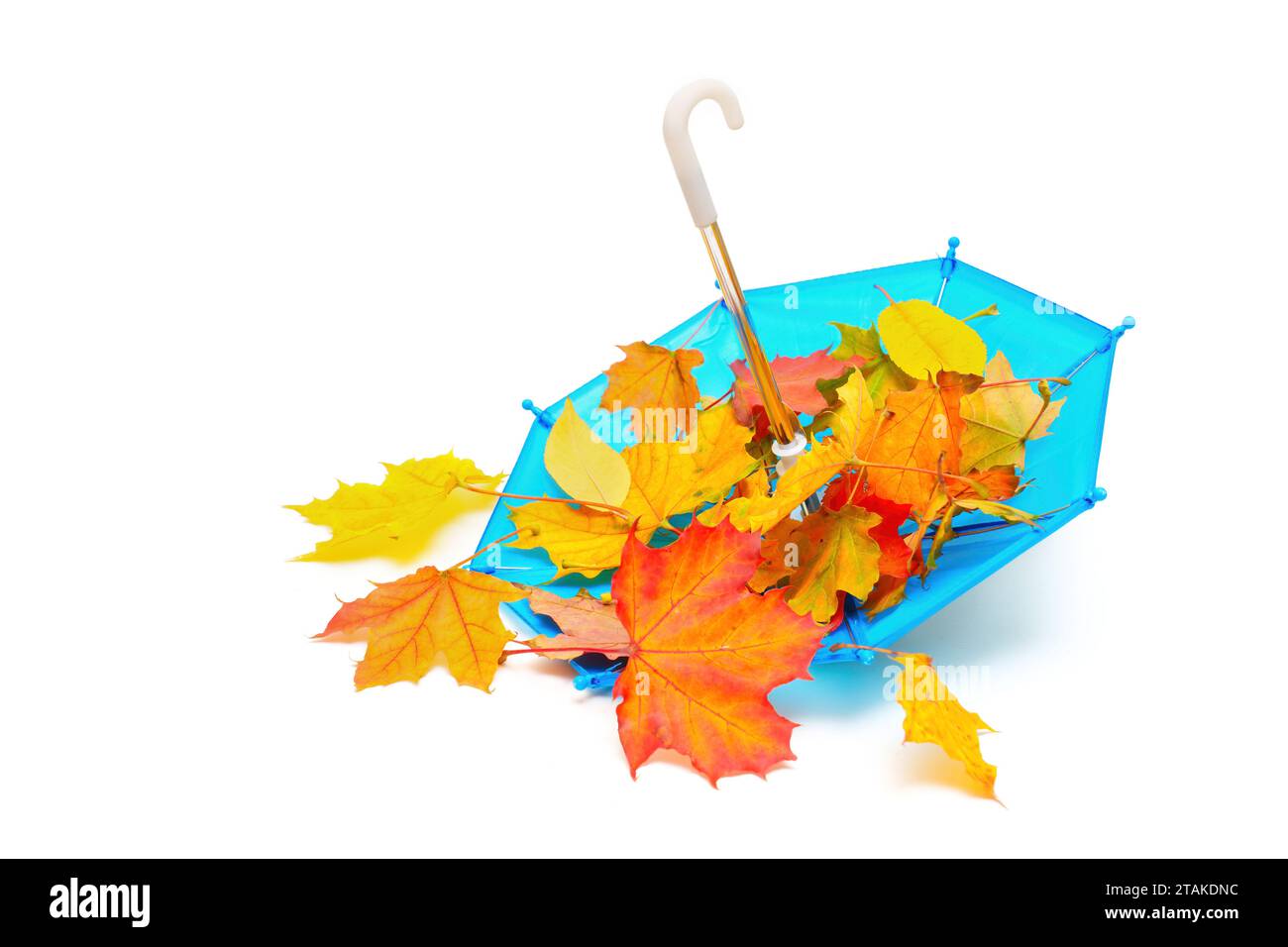 Close up orange object getting Cut Out Stock Images & Pictures - Alamy