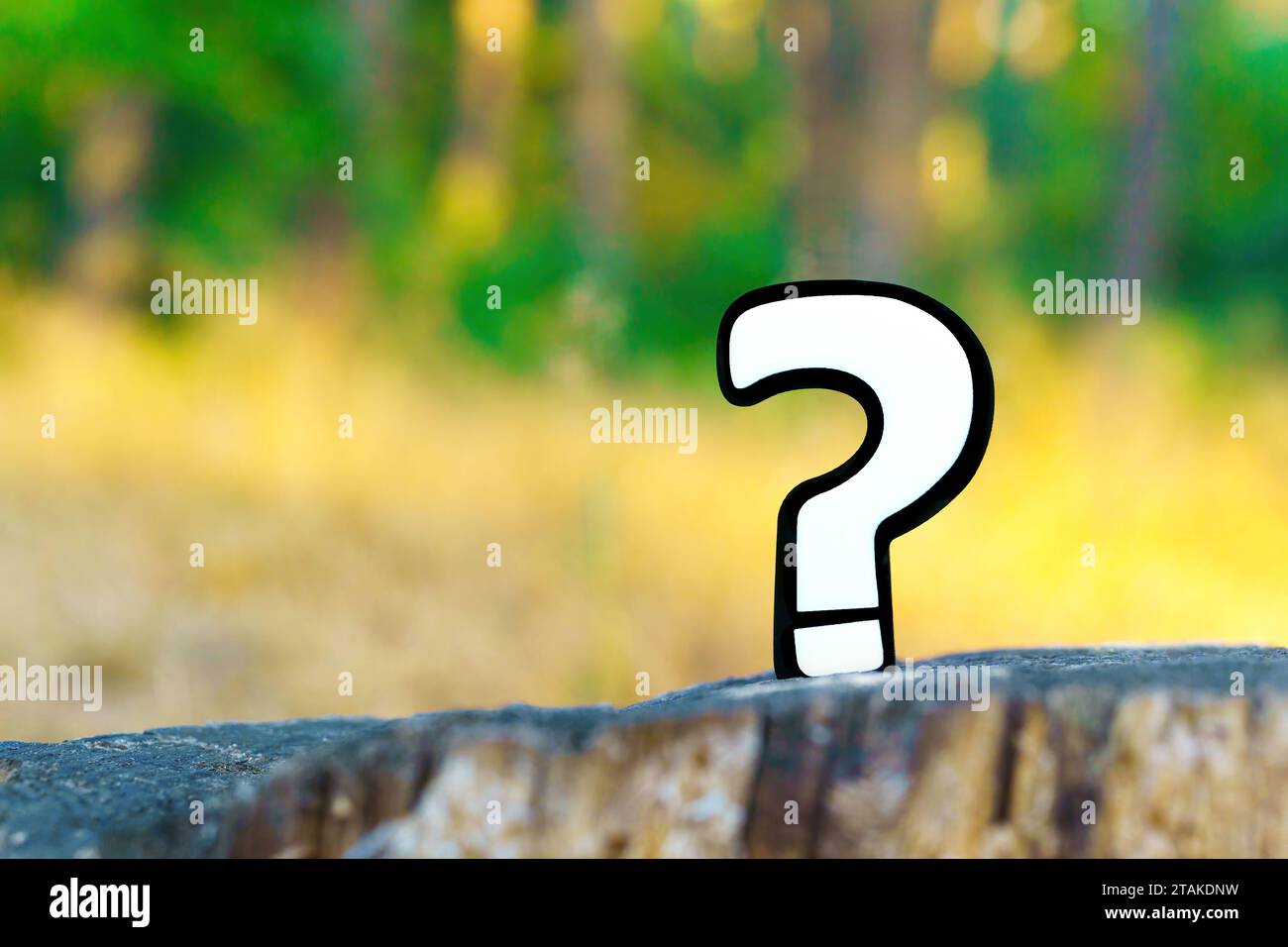 Close-up of a black and white question mark figurine standing on a tree ...