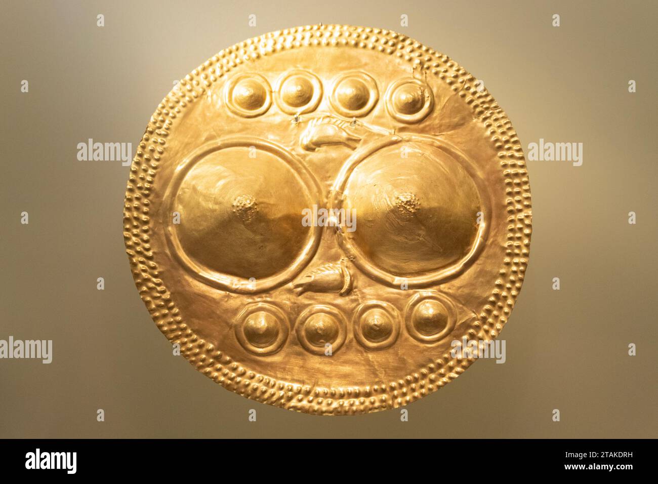 Ancient pre columbus culture golden pectoral at golden museum Stock ...