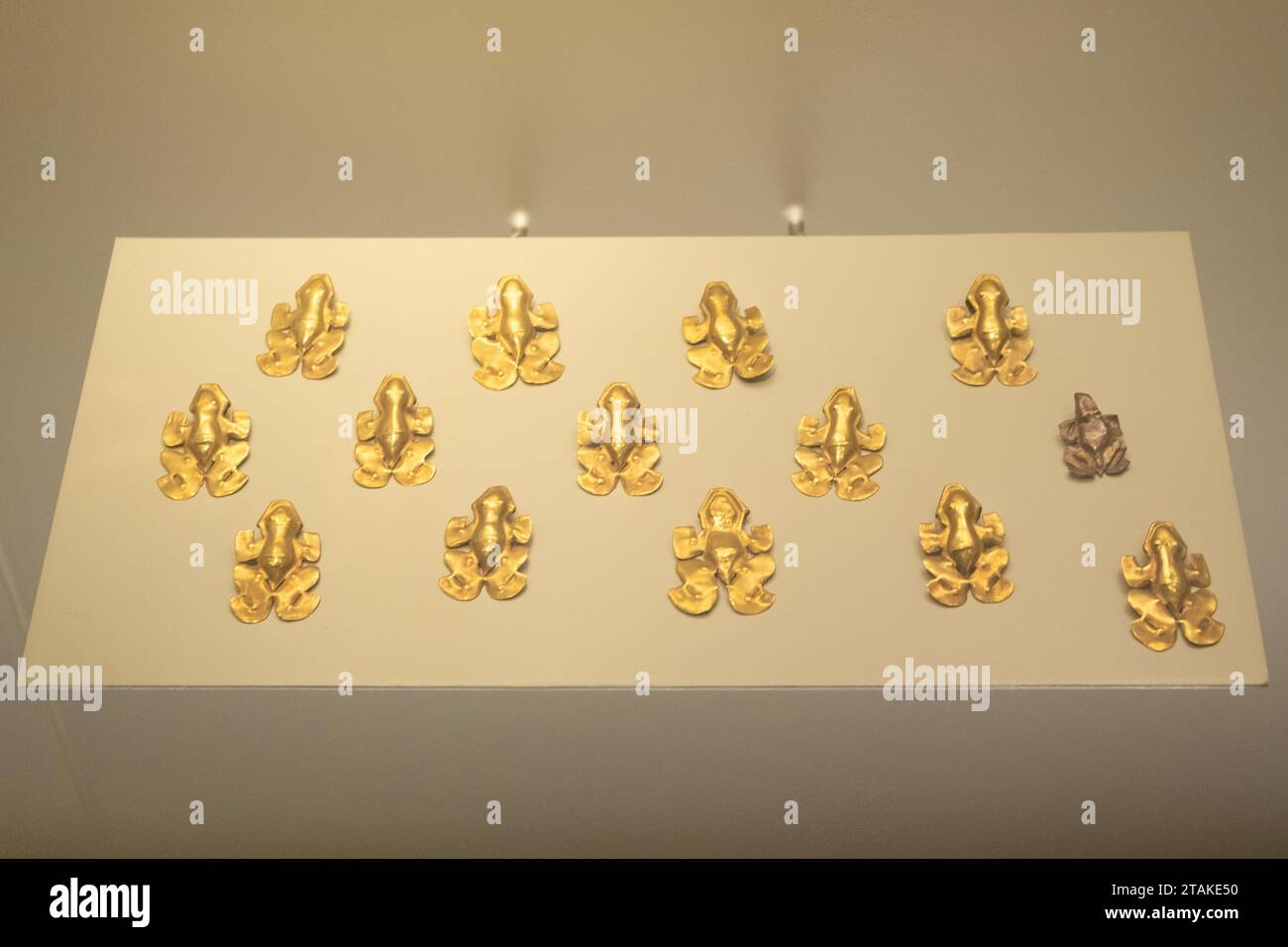 Ancient indigenous golden frog representation pieces at golden museum ...