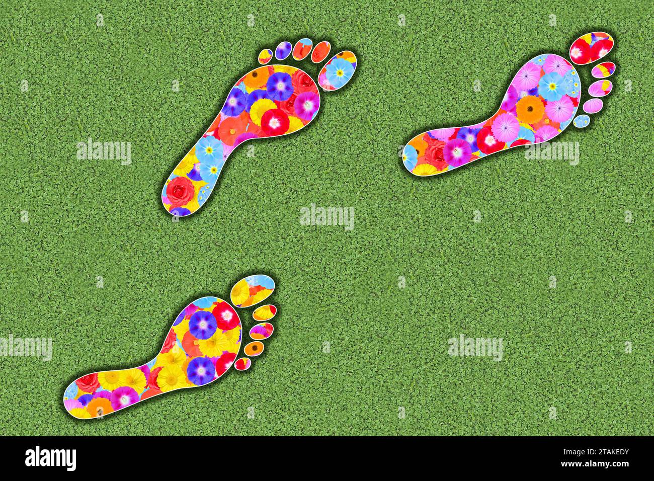 foot prints of an adult man carbon footprint Stock Photo - Alamy
