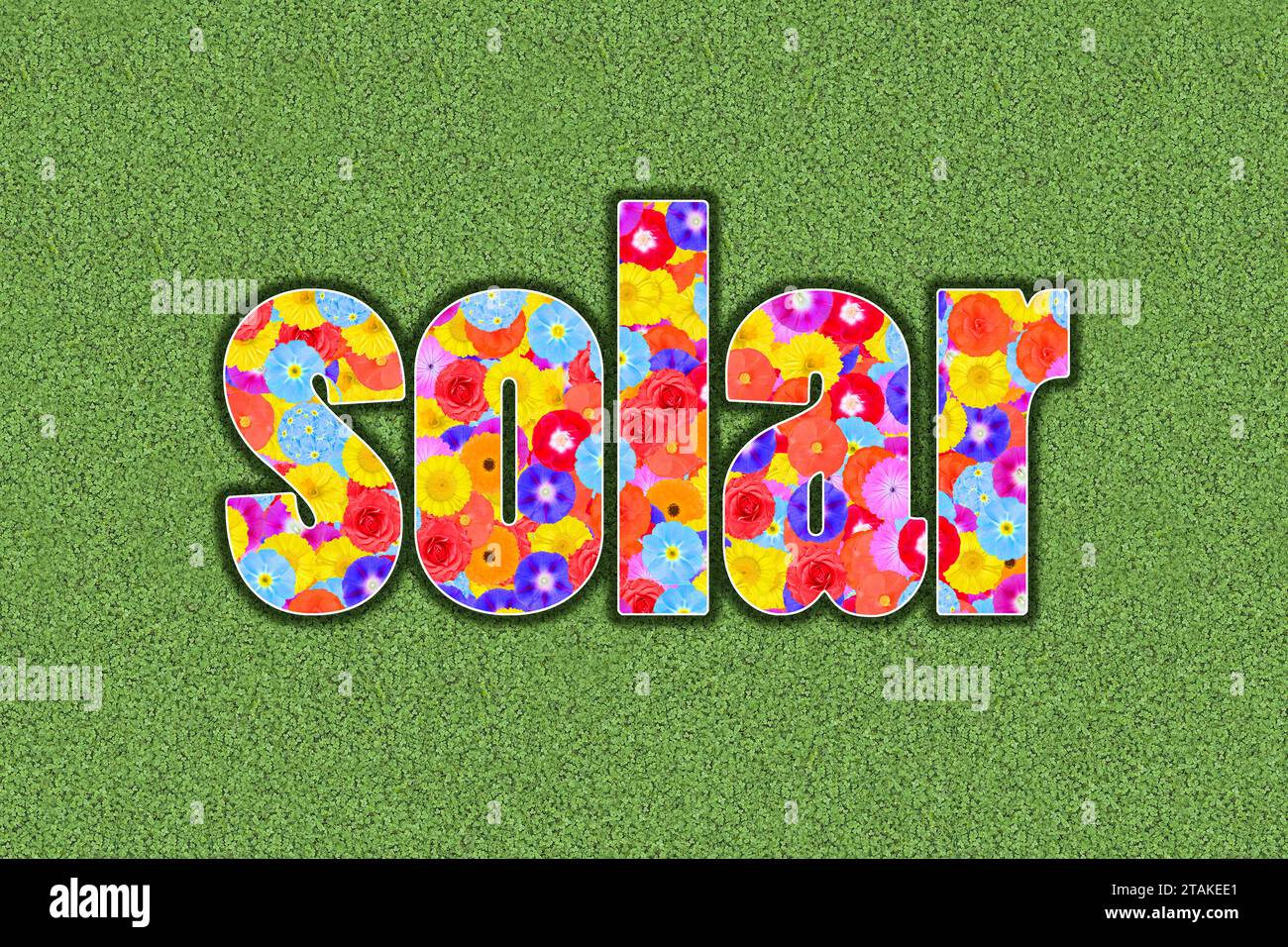 solar written with flowers Stock Photo - Alamy