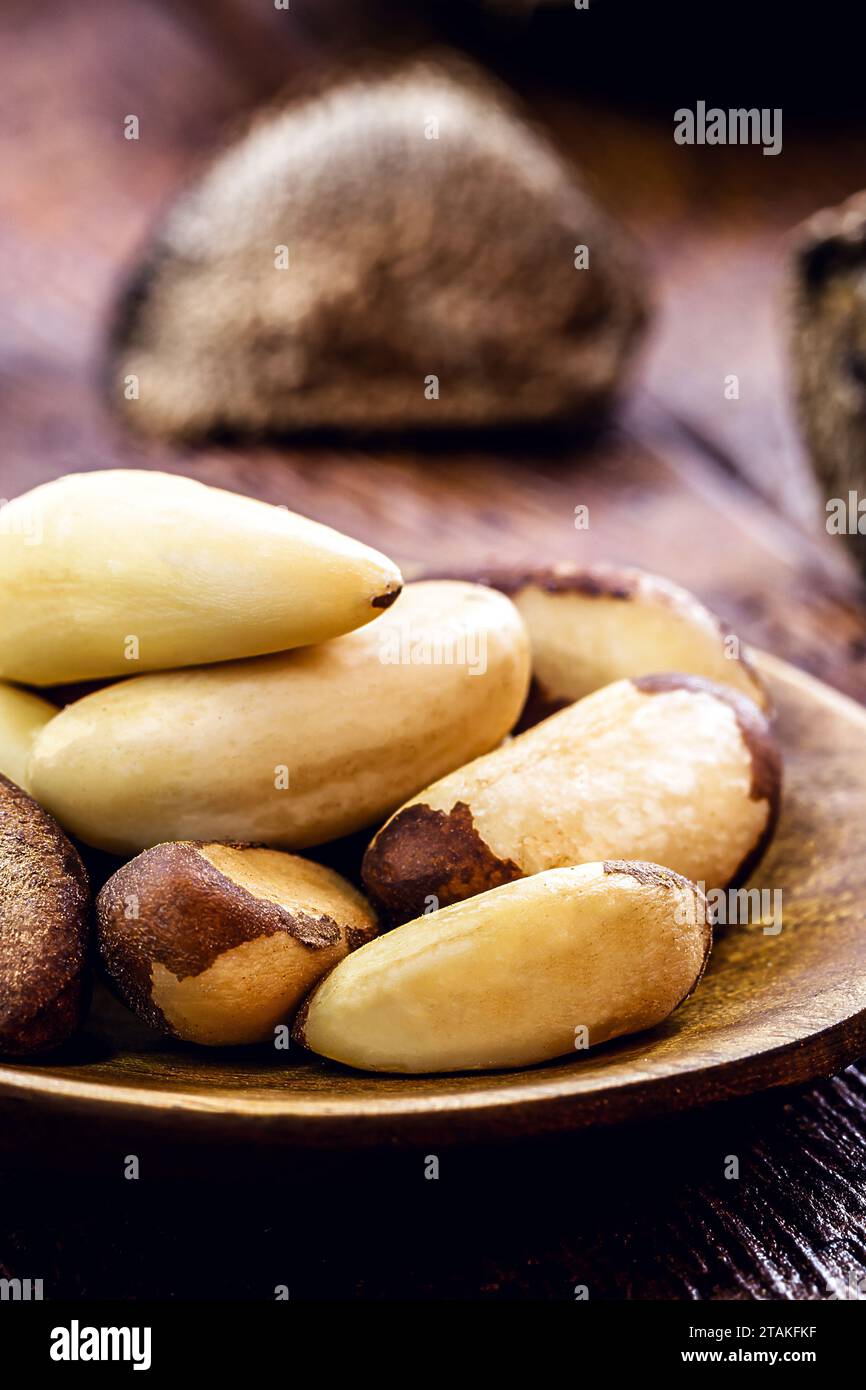 Brazil nuts, or Bolivian nuts, typical of the Amazon rainforest, exotic ...