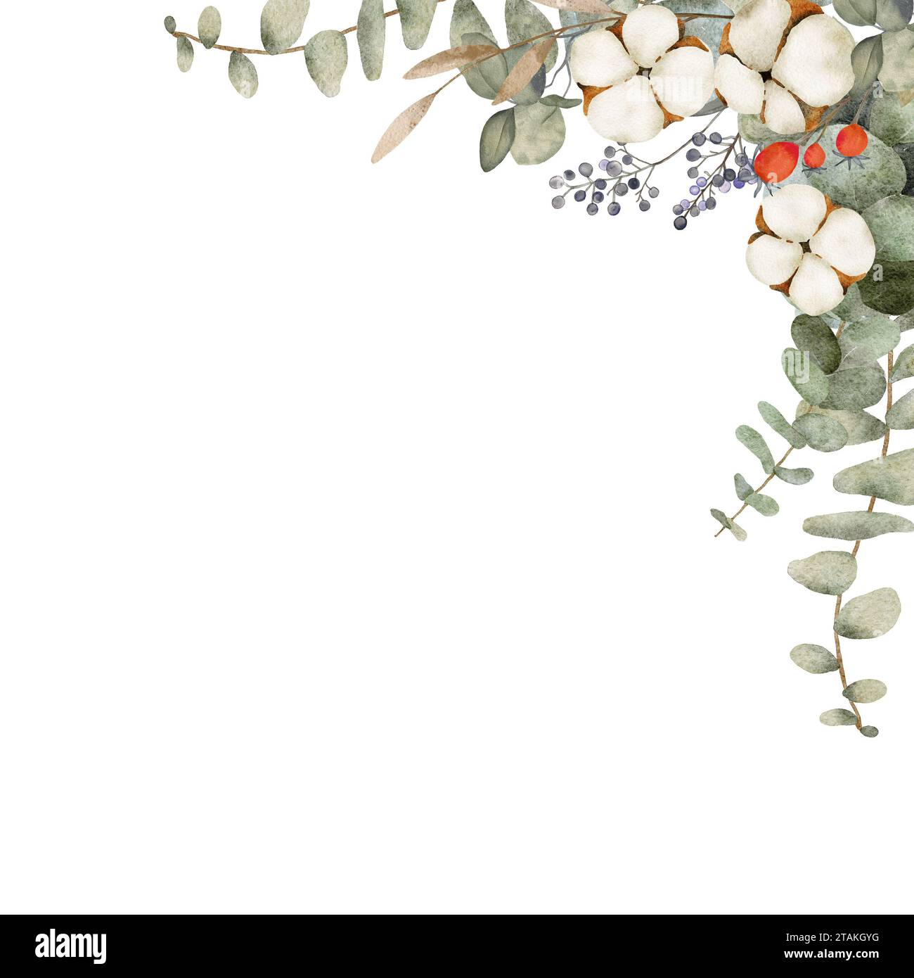 Watercolor border corner with cotton flowers, wild berries and ...