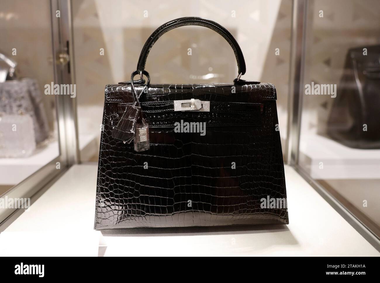 New York, United States. 01st Dec, 2023. a Shiny Black Porosus ...