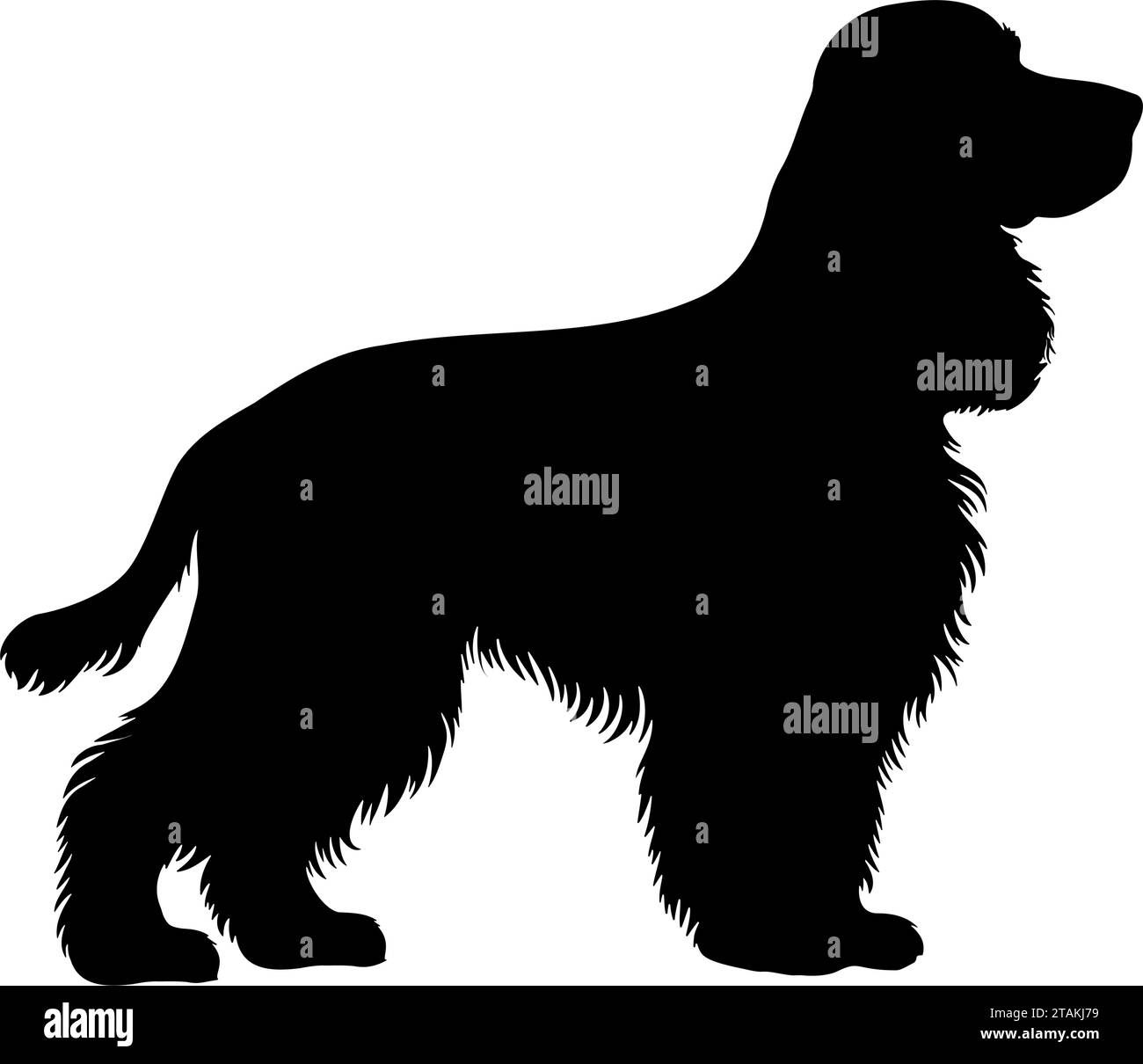 Cocker spaniel Dog silhouette. Vector illustration Stock Vector Image ...