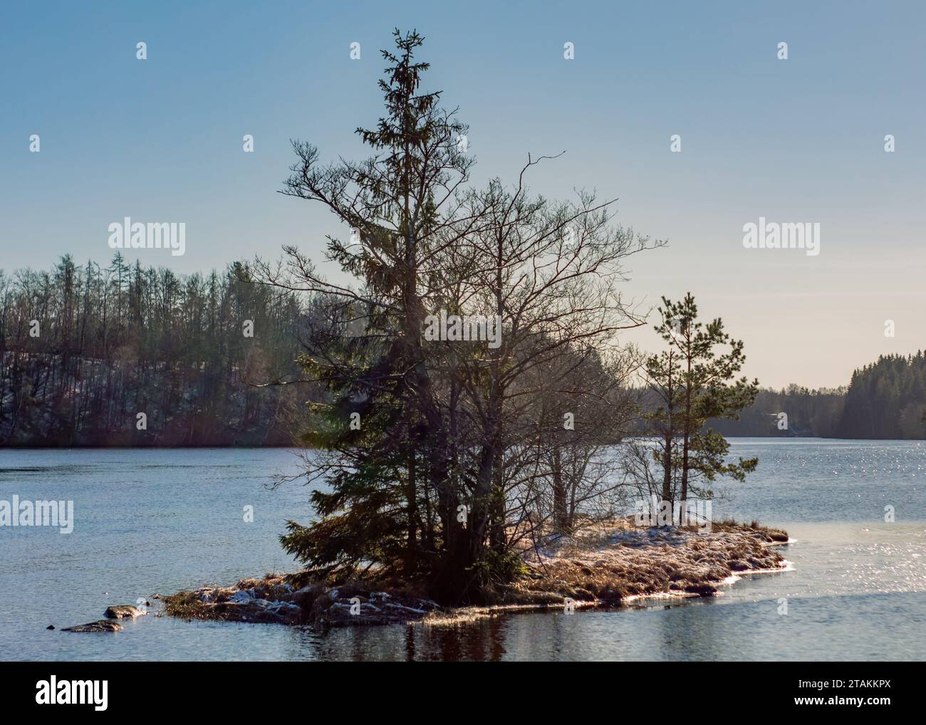 A small island is nestled in a tranquil lake surrounded by tall trees ...