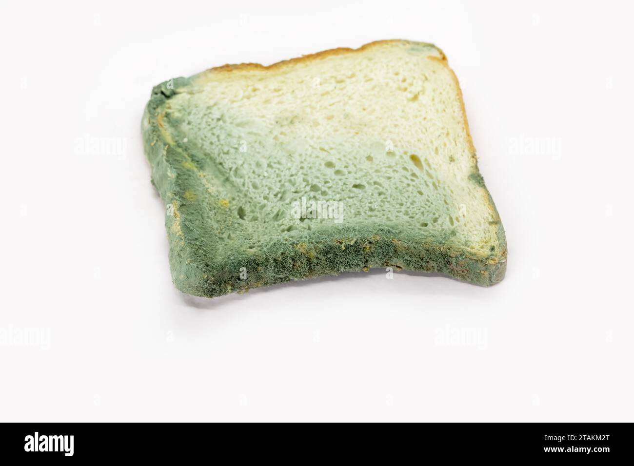 A piece of Moldy bread isolated on white background. Top view, selected ...
