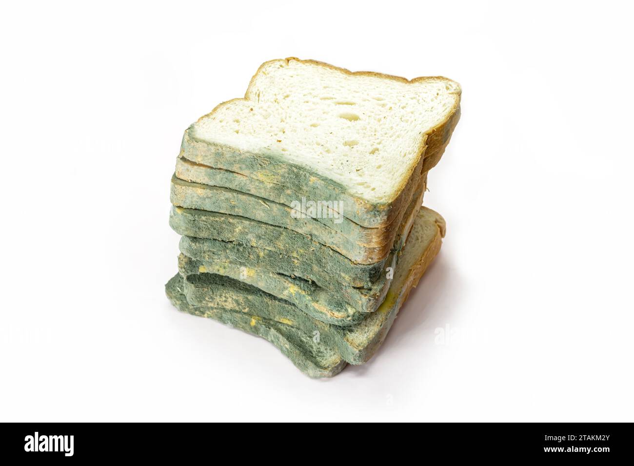 Fungal bread isolated on white background. Biodegradable food concept ...