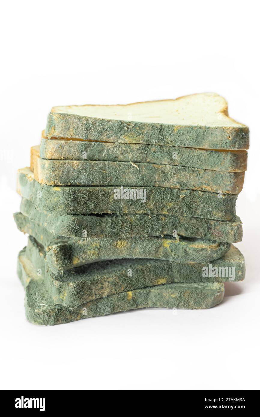 Green moldy bread isolated on a white background. Selective focus Stock ...