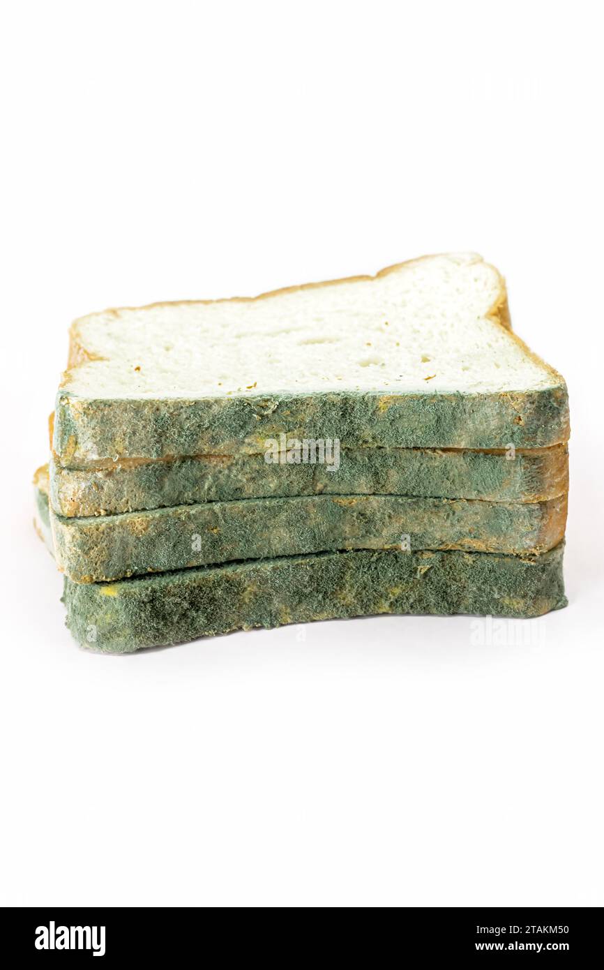 Wasted bread isolated on white background. Biodegradable food waste ...