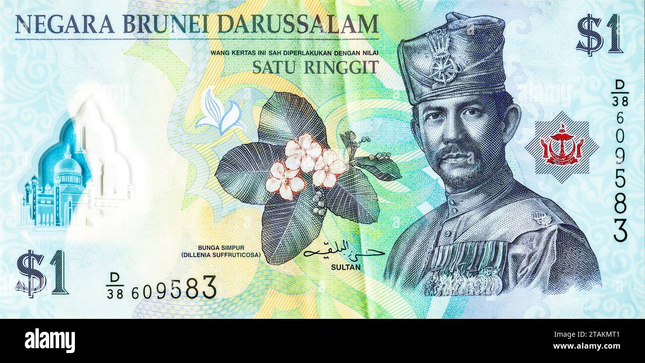 Sultan Hassanal Bolkiah portrait on Brunei 1 dollar banknote. Bank of ...