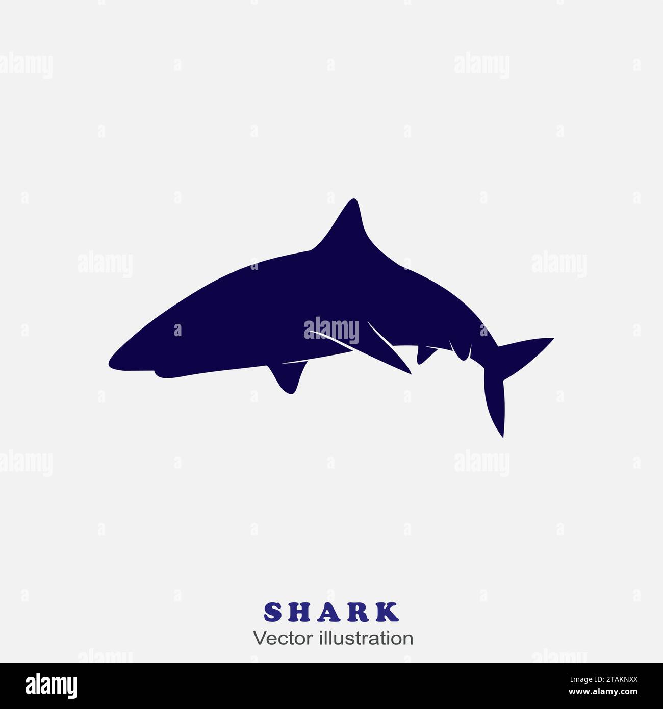 Shark on a gray background. Vector Illustration Stock Vector Image ...