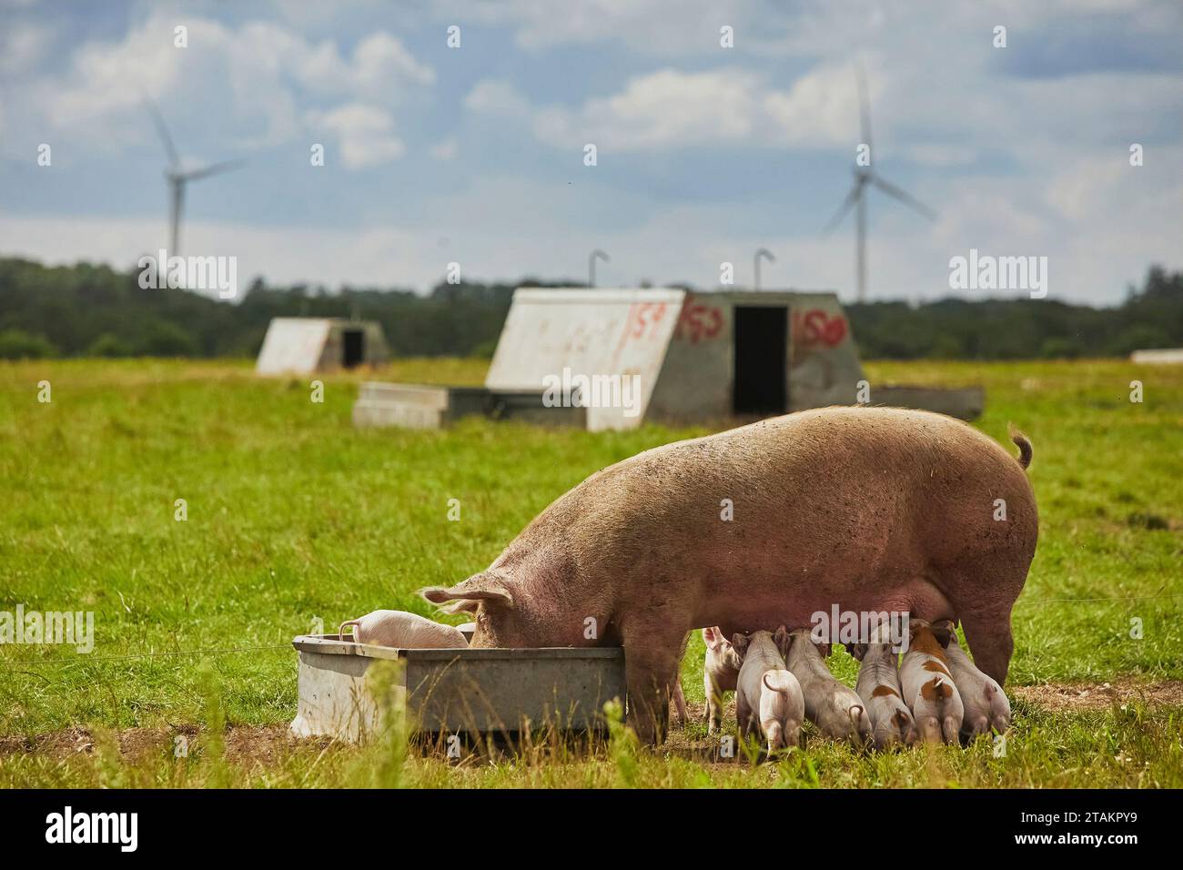Eco village denmark hi-res stock photography and images - Alamy