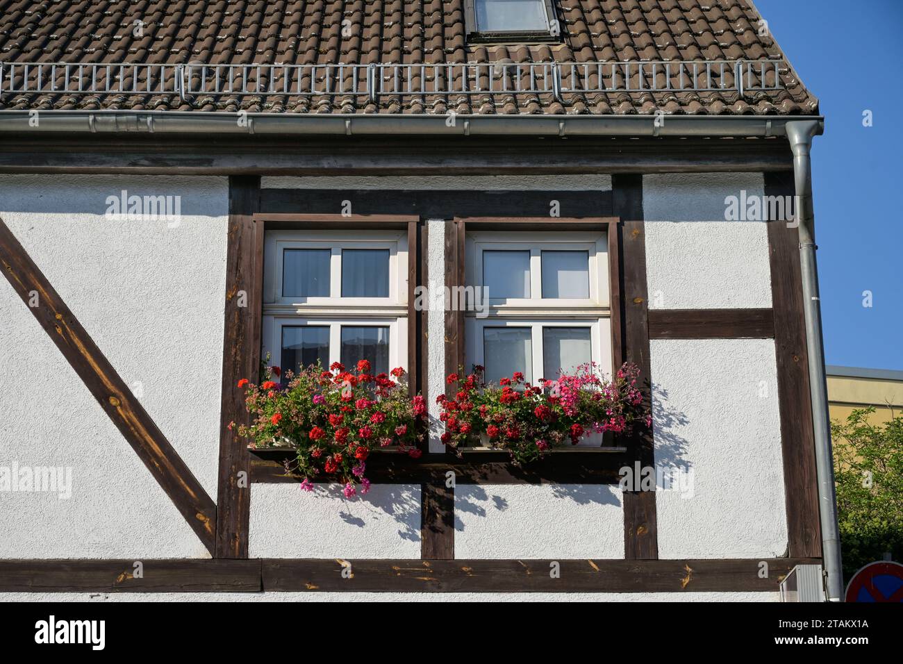 Altbau, Fachwerkhaus, Berliner Straße, Bernau, Brandenburg, Deutschland ...