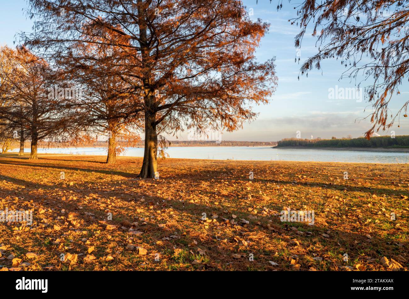 confluence of the Mississippi and Ohio Rivers seen from Fort Defiance ...
