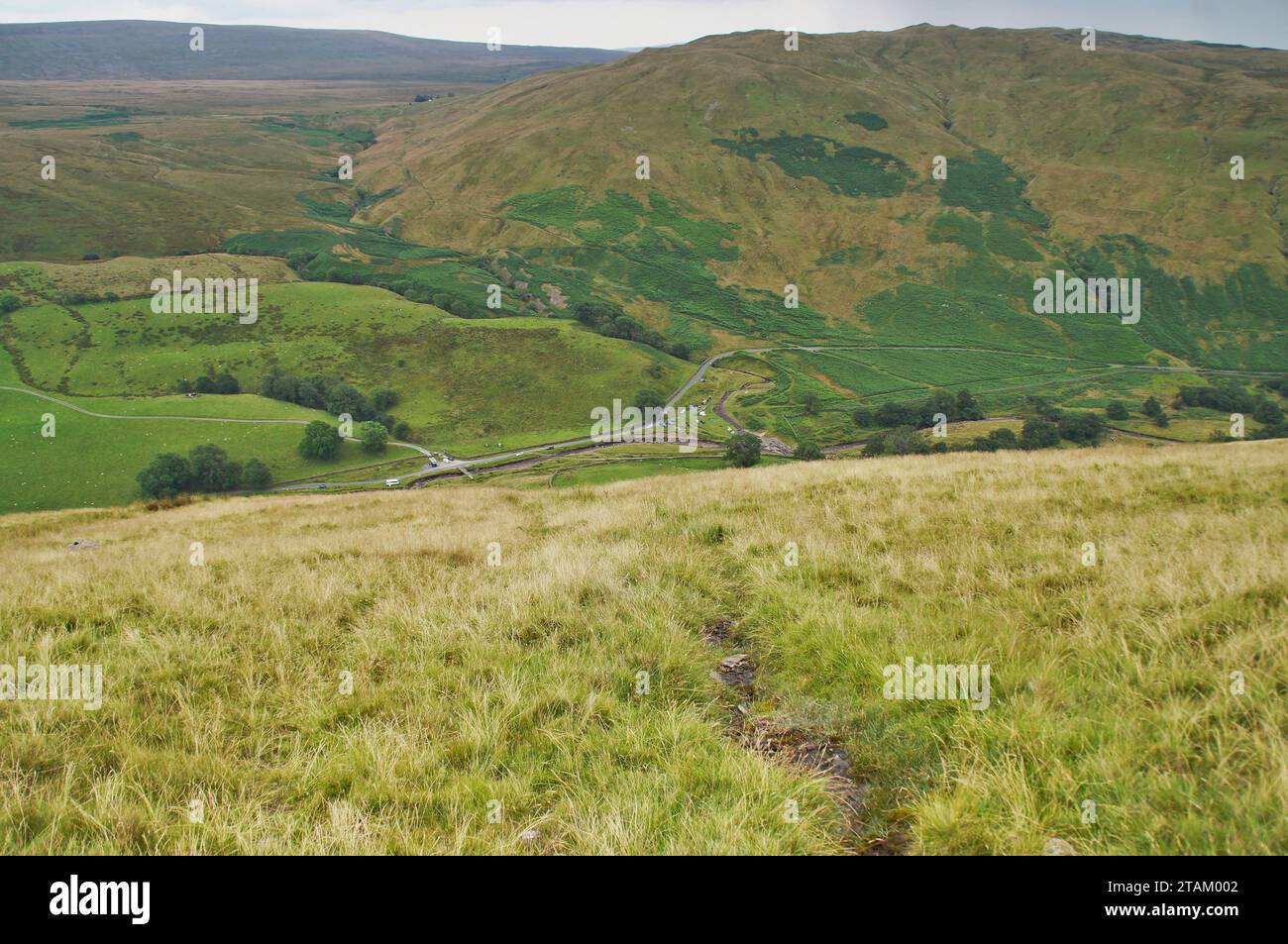 Barbondale, Barbon Low Fell and Casterton Fell from Thorn Moor (on way ...