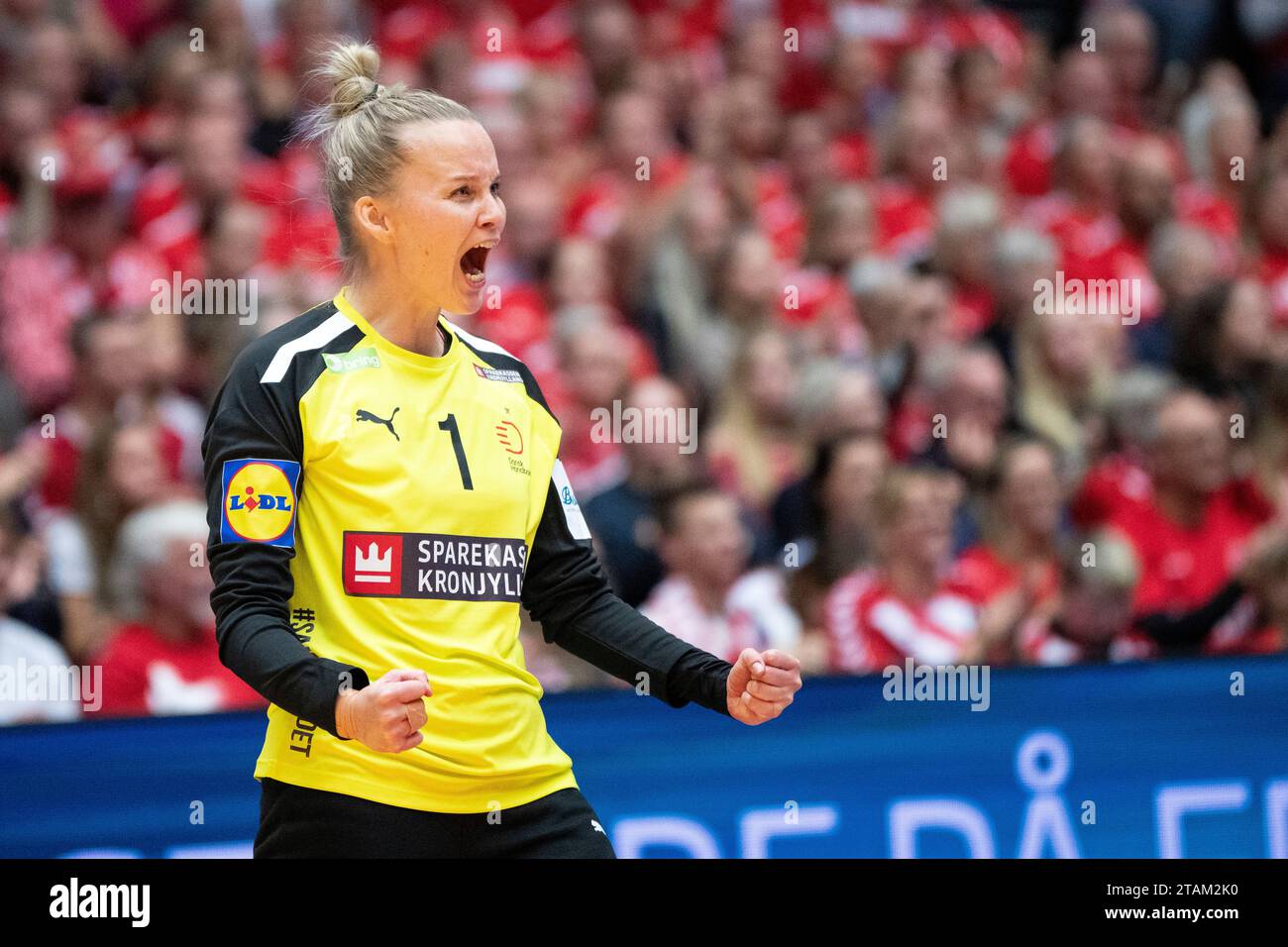 Denmark's Sandra Toft reacts after a save during the World Cup match ...