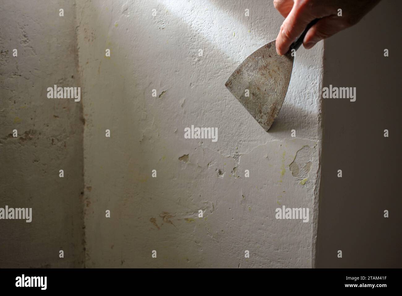 Surface Ready: Gloved Hand Scraping Wall with Painter's Spatula Stock ...