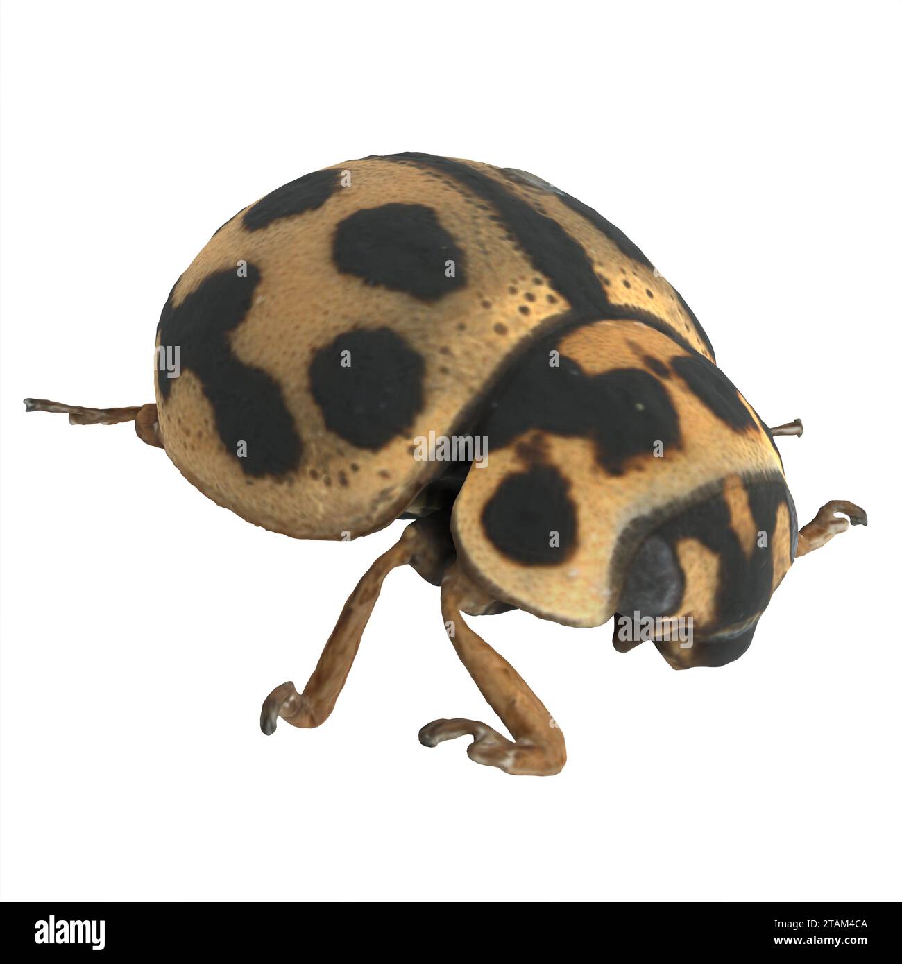 Game background asset Cut Out Stock Images & Pictures - Alamy