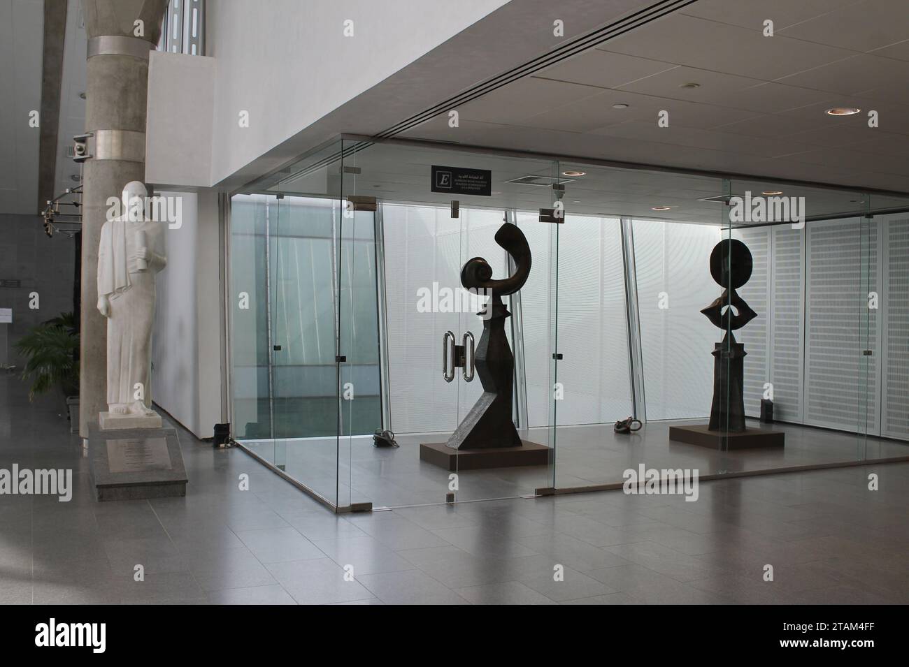 Bibliotheca alexandrina books hi-res stock photography and images - Alamy