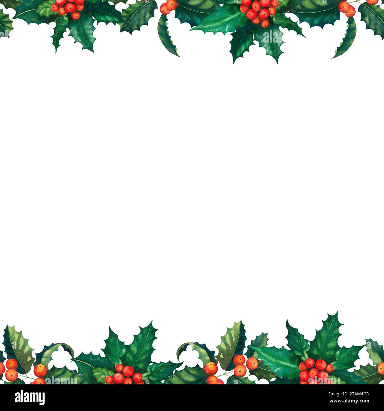 Christmas Holly Borders And Frames
