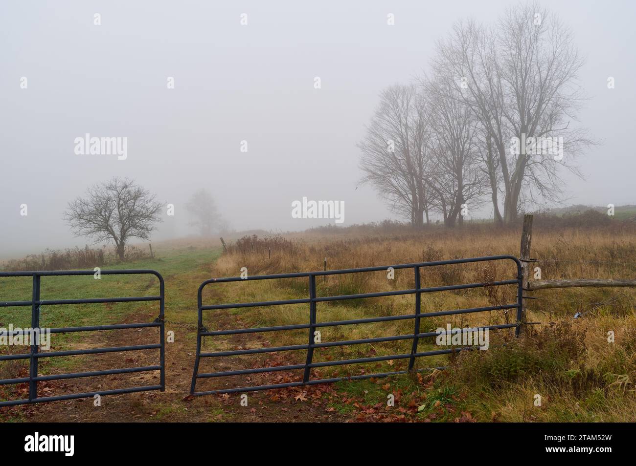 A foggy rural autumn scene in Maine Stock Photo - Alamy