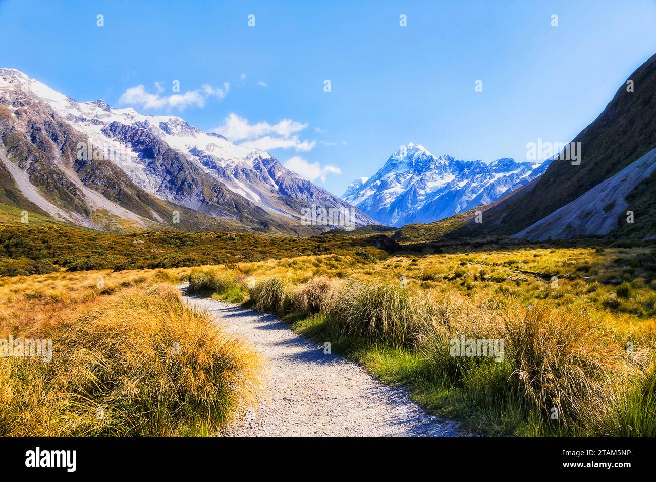 Scenic hiking track in Hooker valley of New Zealand leading to majestic ...