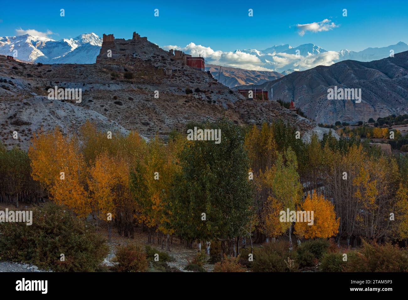 In Gheling the Thrangu Tashi Choling Monastery dates back to the 15th ...