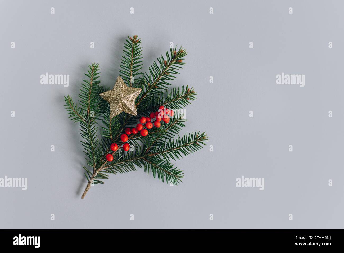 Spruce branch with golden star and red berries on a grey background ...