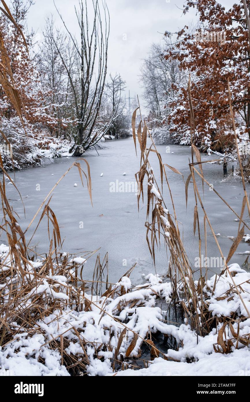 Frozen winter scene snow hi-res stock photography and images - Alamy