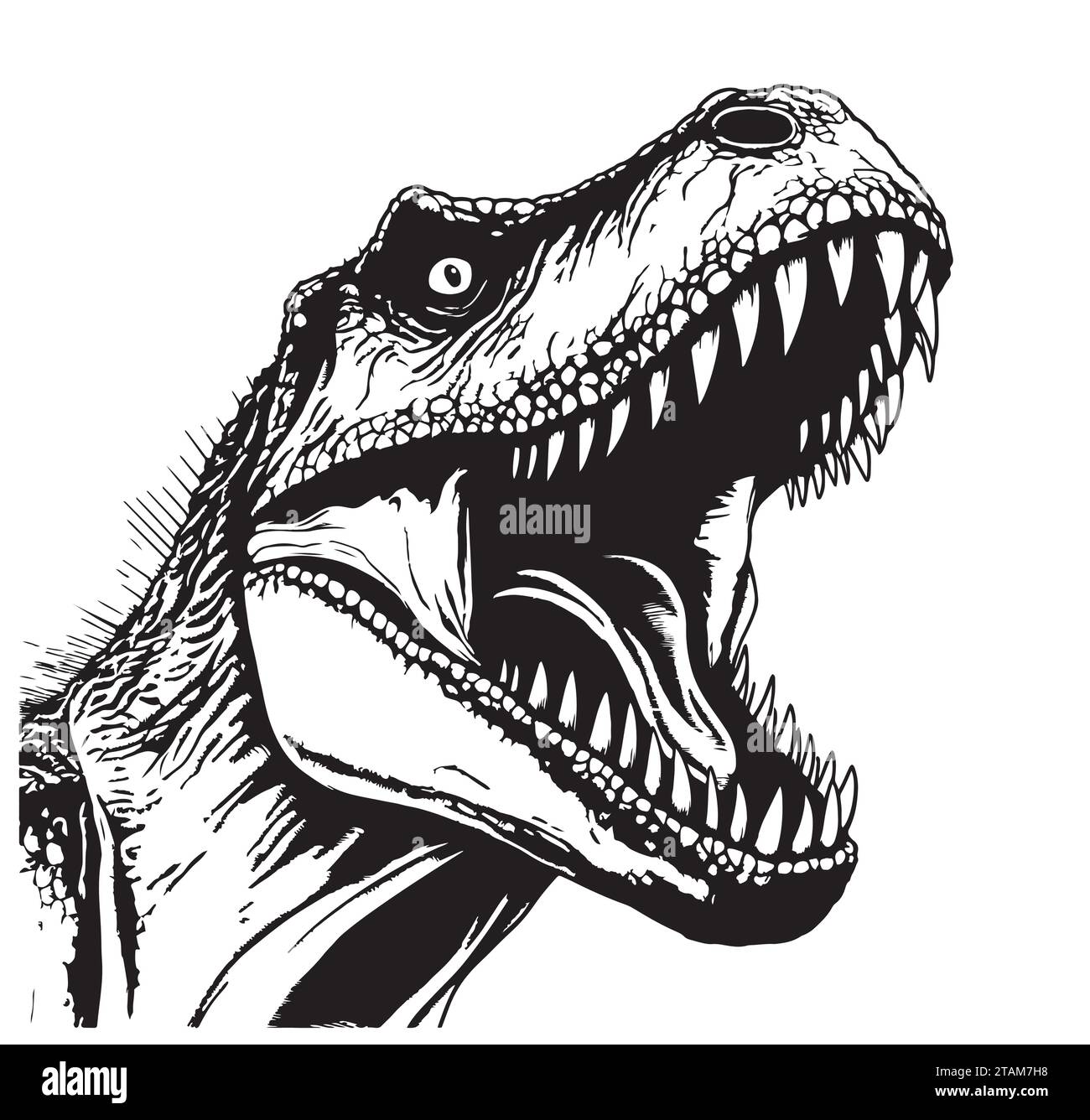 Tyrannosaur dinosaur hand drawn sketch. Vector illustration ...