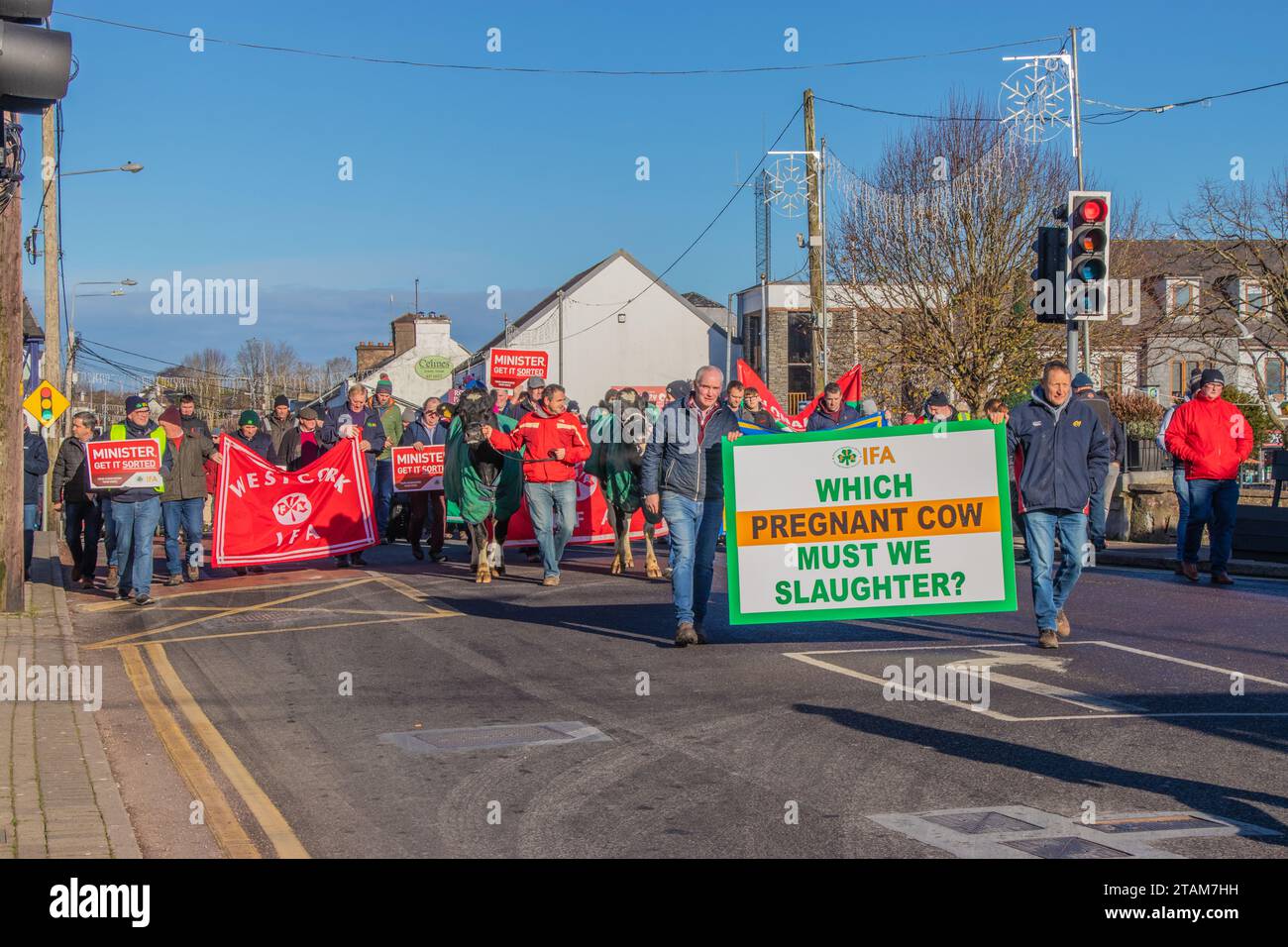 IFA Farmers Protest in Carrigaline, Co. Cork, December 2023 Stock Photo ...