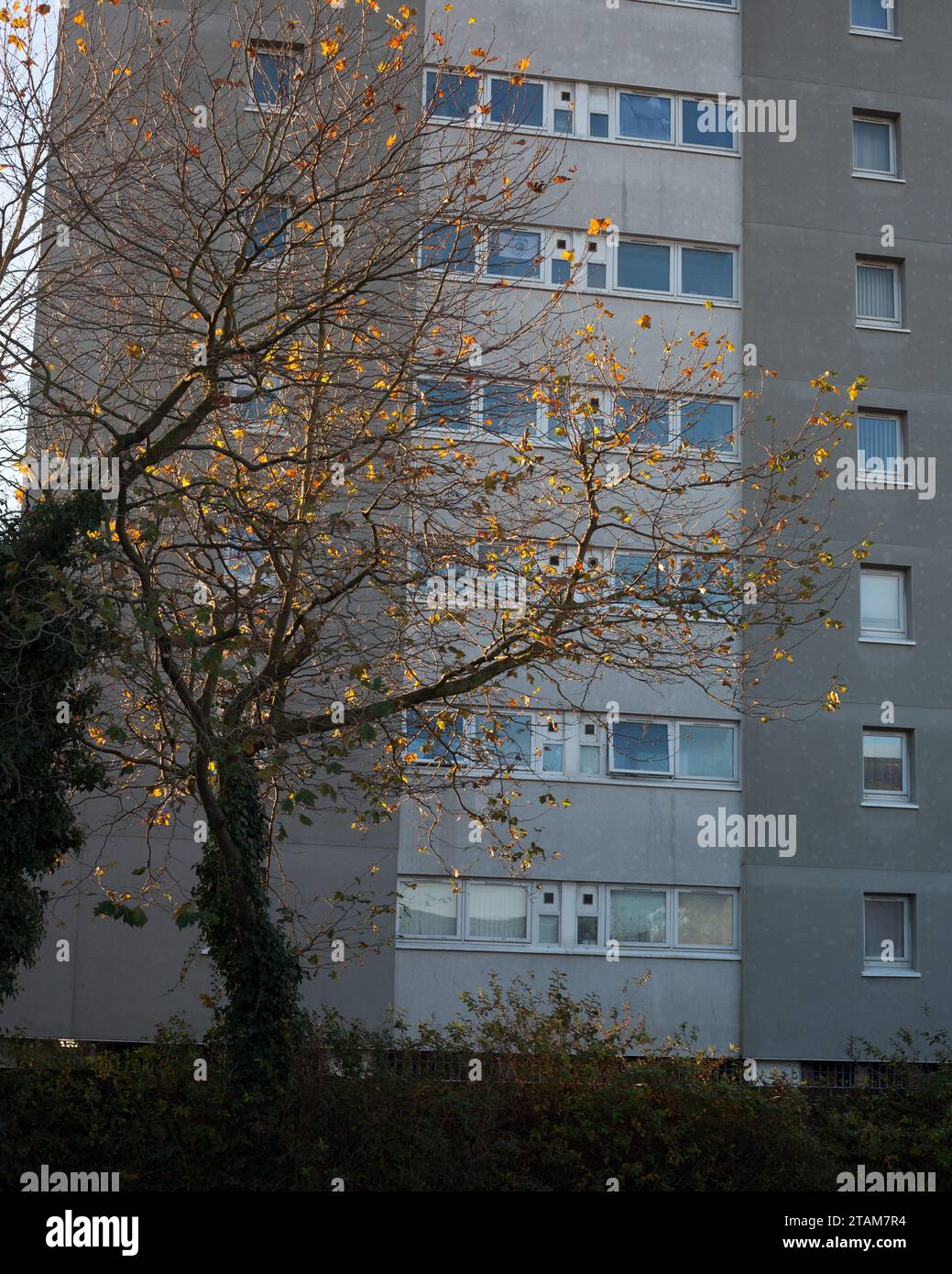 Wintry scenes Anlaby Road Hull HU3 tower block in the snow Stock Photo ...