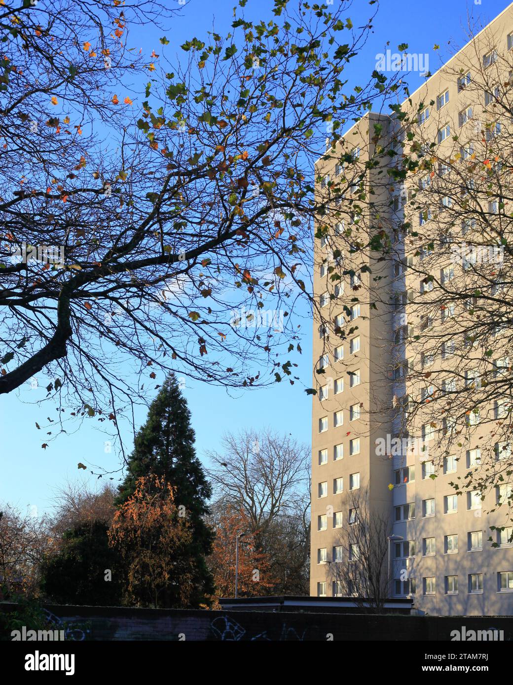 Wintry scenes Anlaby Road Hull HU3 tower block in the snow Stock Photo ...