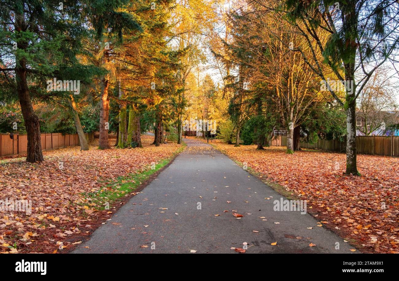 Scenic Walking Path in Suburban Neighborhood. Fall Season, Sunny Day ...