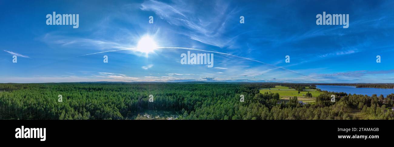Scenic wide panorama of sunny summer forest landscape of Northern ...