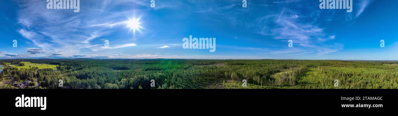 Scenic wide panorama of sunny summer forest landscape of Northern ...
