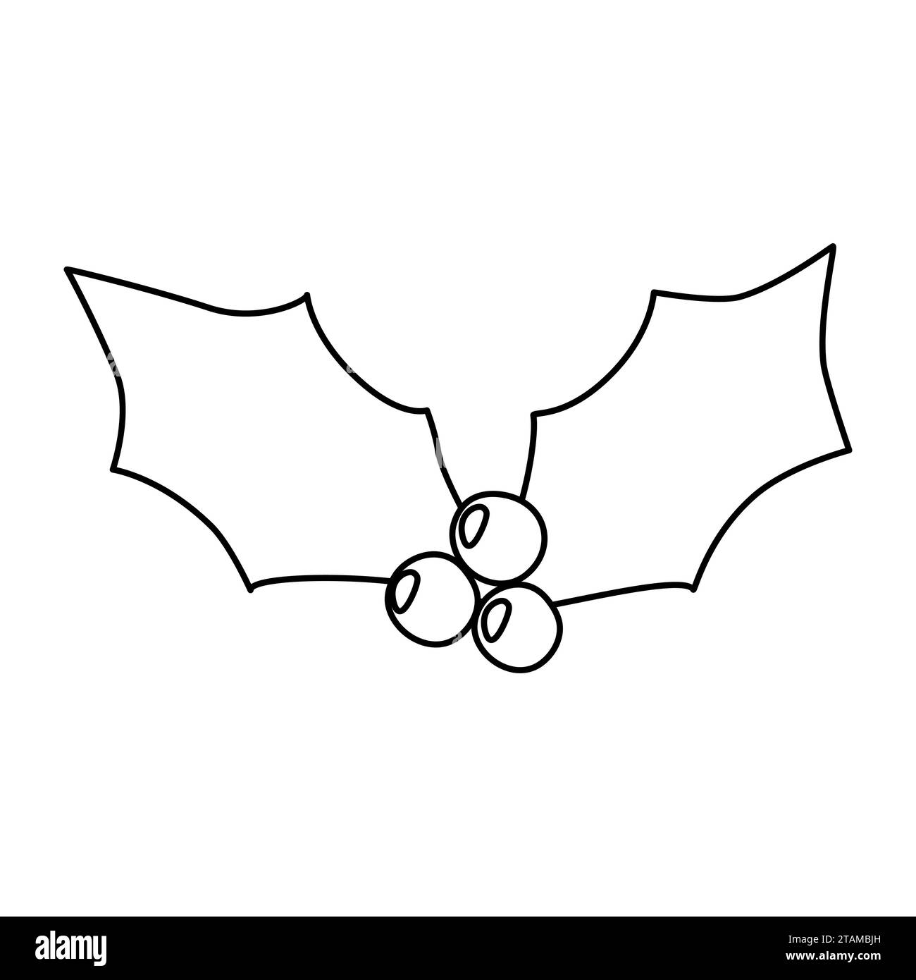 Two holly leaves with berries, winter holidays design element, doodle ...