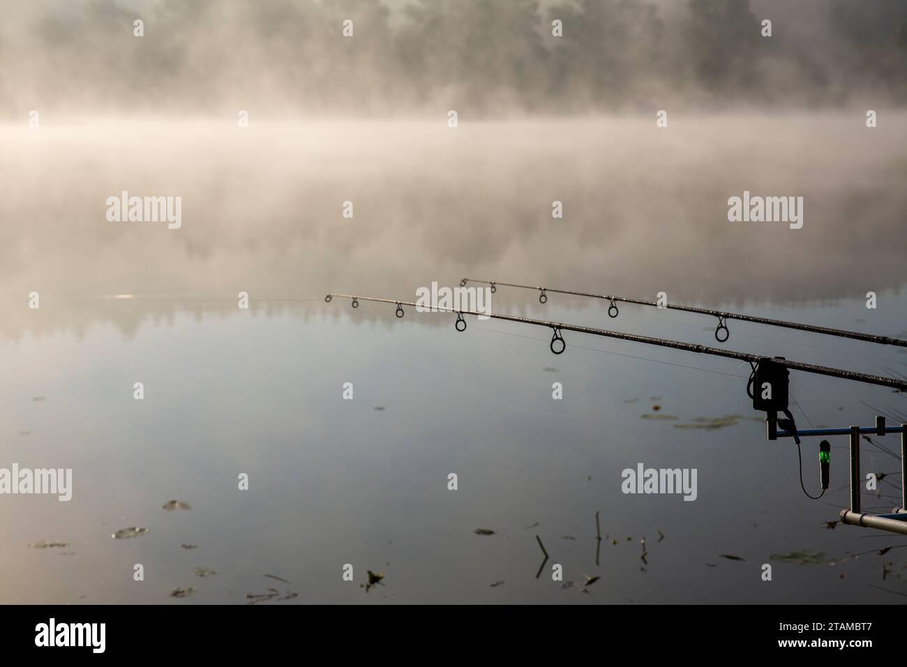 Fishing in lake sunset rods hi-res stock photography and images - Alamy