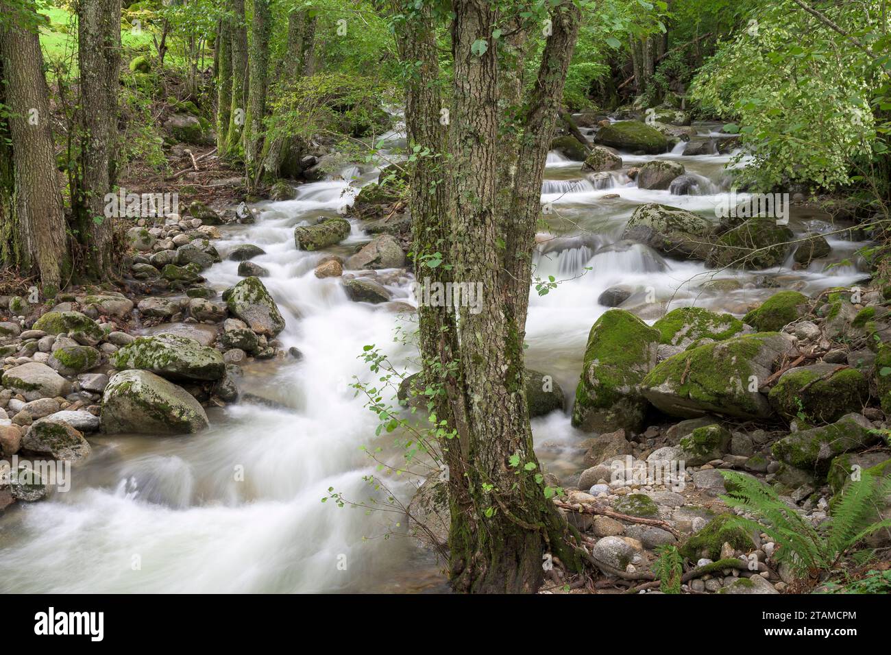 Narrow fast flowing river hi-res stock photography and images - Alamy