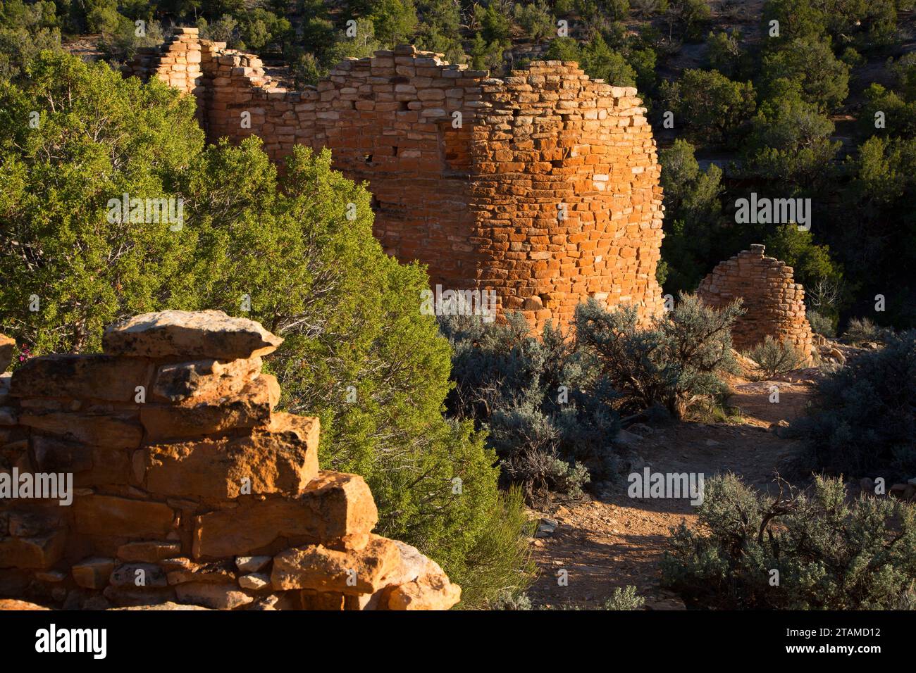 Cutthroat Castle ruins, Hovenweep National Monument-Cutthroat Castle ...