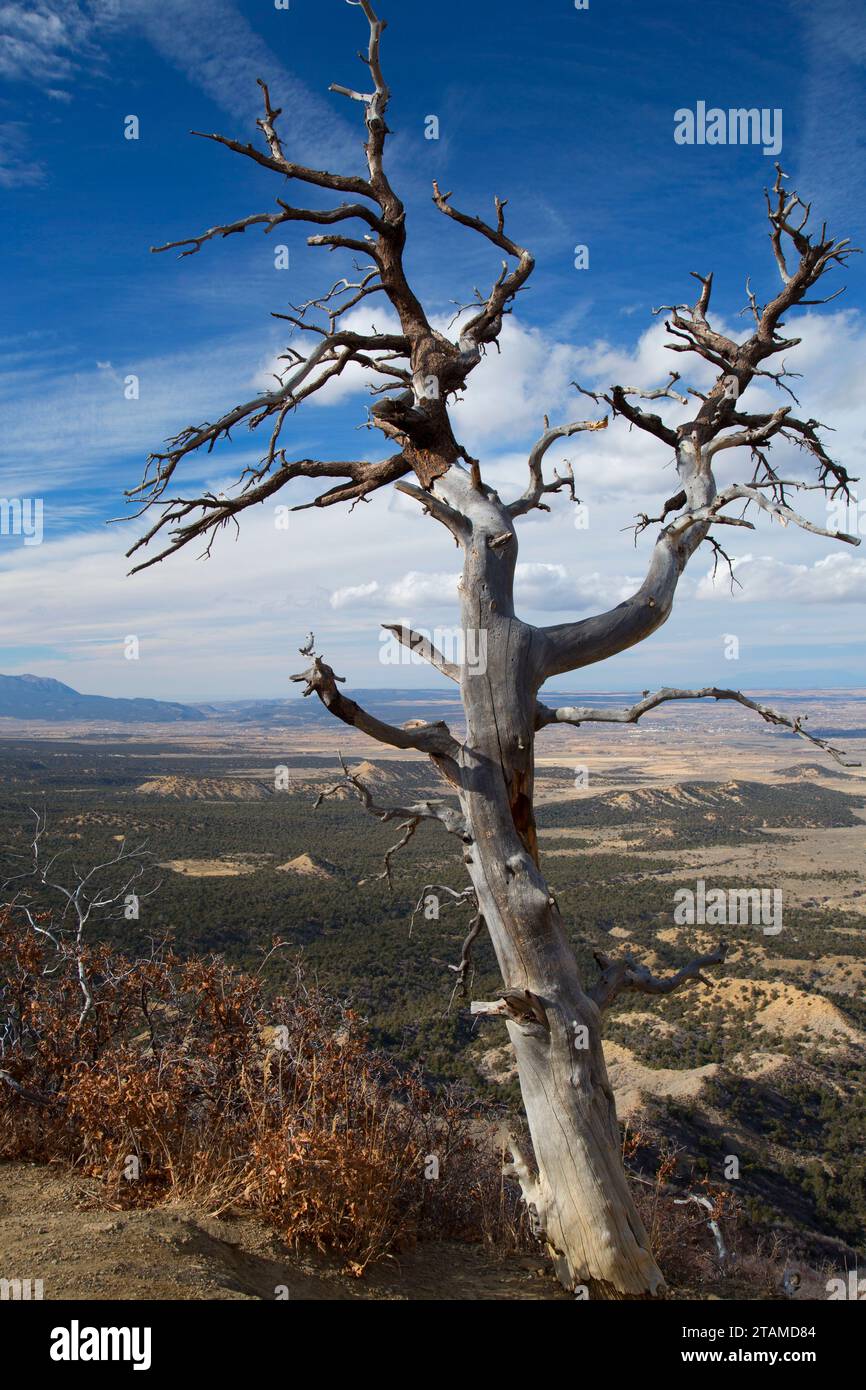 Mesa verde montezuma valley overlook hi-res stock photography and ...