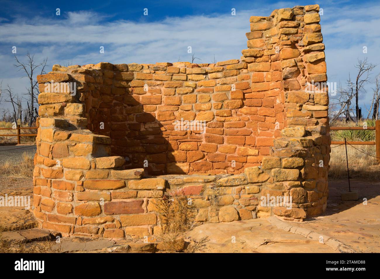 Cedar Tree Tower, Mesa Verde National Park, Colorado Stock Photo - Alamy