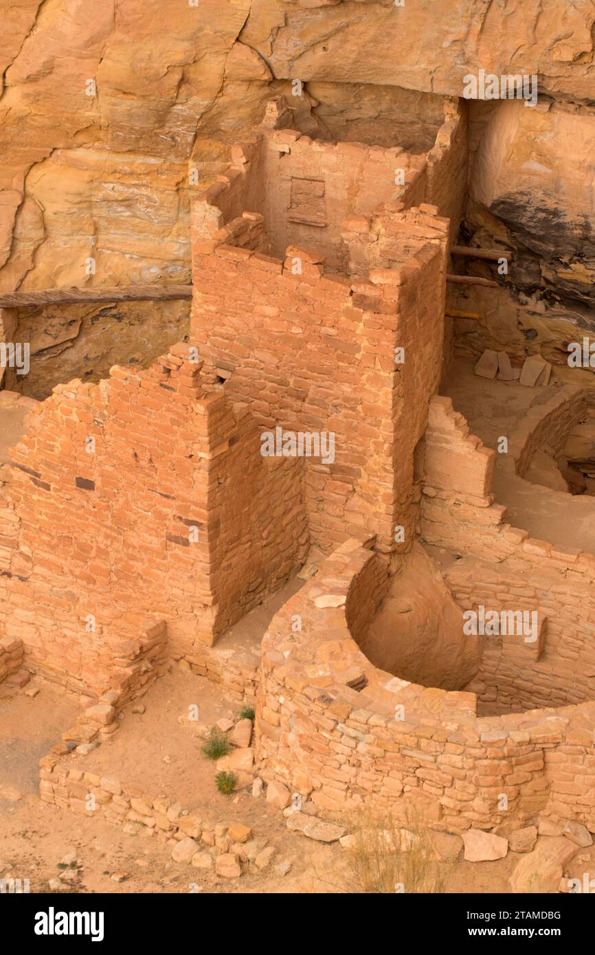 Square Tower House, Mesa Verde National Park, Colorado Stock Photo - Alamy