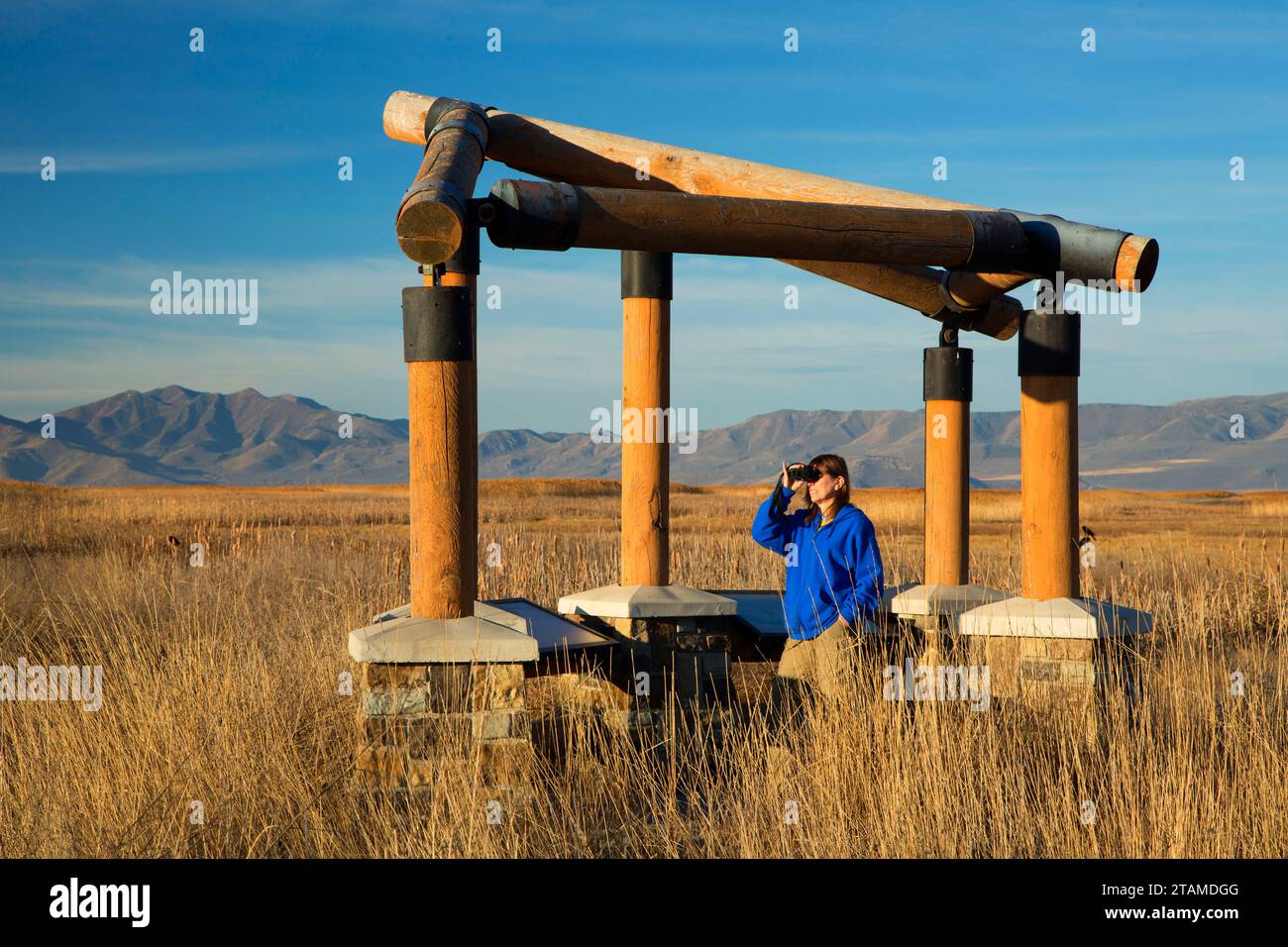 Viewing shelter, Bear River Migratory Bird Refuge, Utah Stock Photo - Alamy