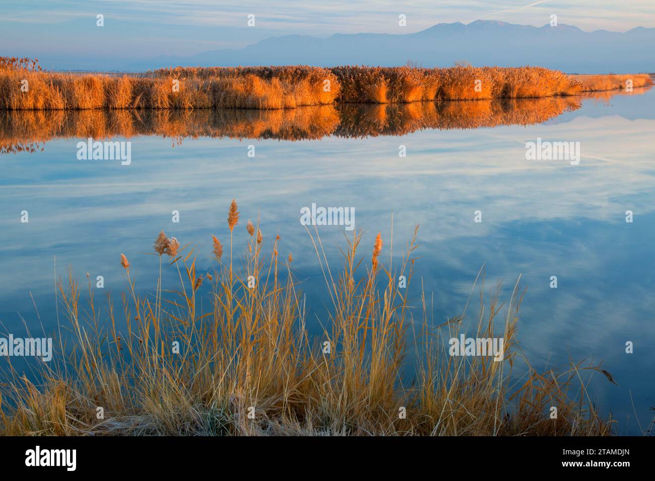 Bear River, Bear River Migratory Bird Refuge, Utah Stock Photo - Alamy