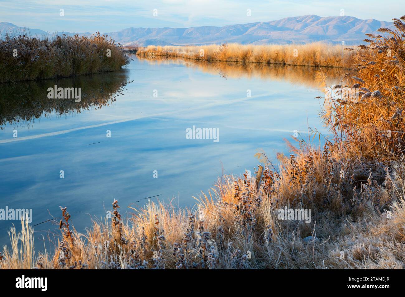 Bear River, Bear River Migratory Bird Refuge, Utah Stock Photo - Alamy